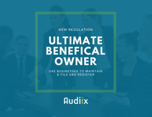 Ultimate Beneficial Owner Regulations - Audiix